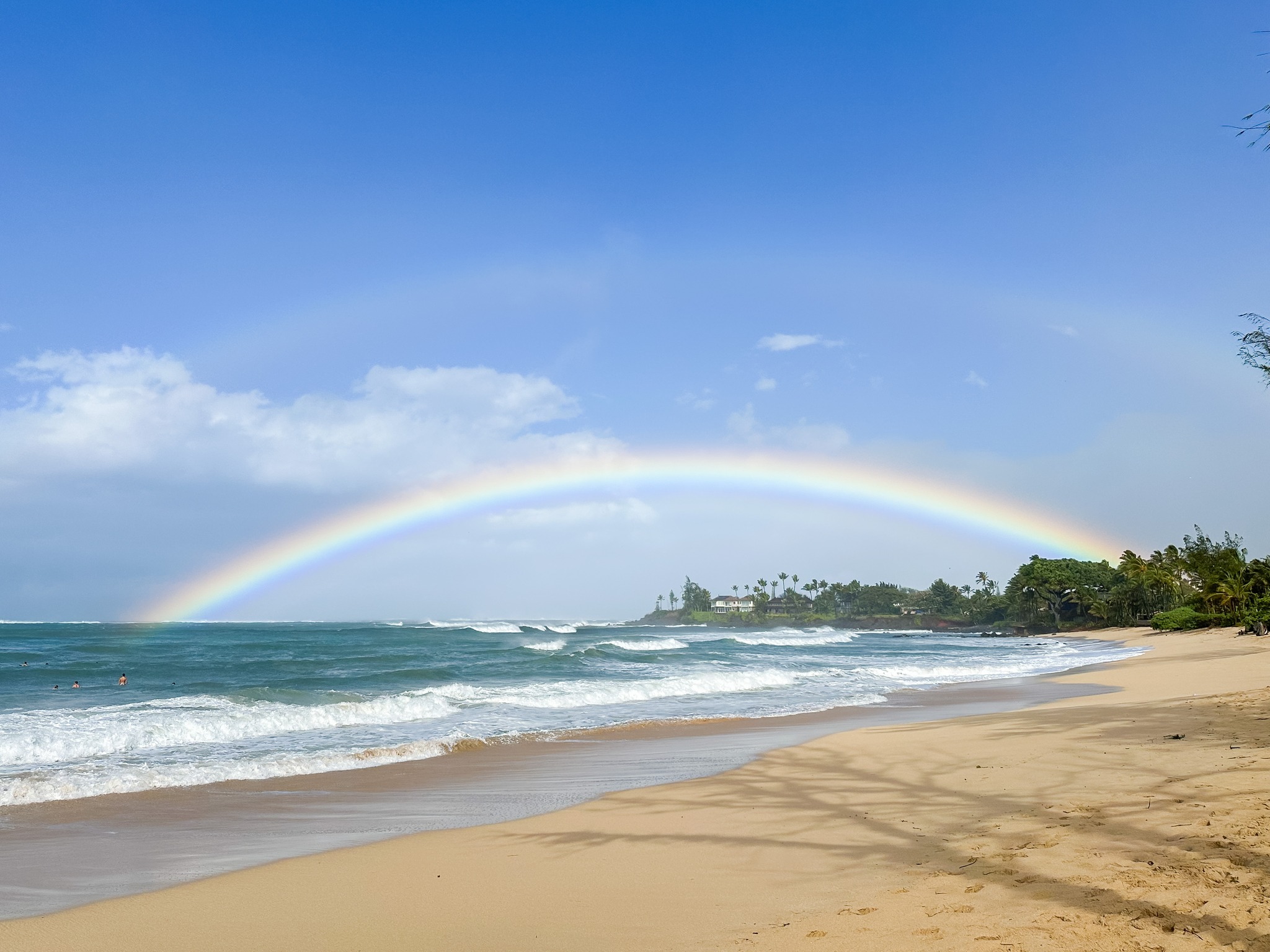 Thompson Center Trainers Travel to D.C., Hawaii - Thompson Center for ...